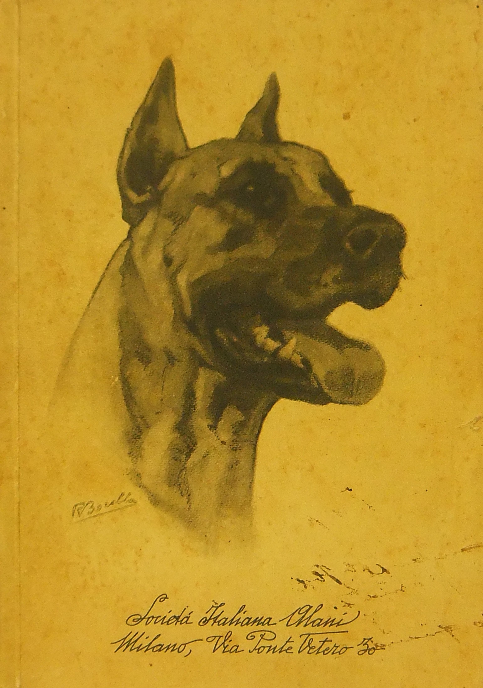 L'alano. Origini caratteristiche pregi difetti allevamento e trattamento